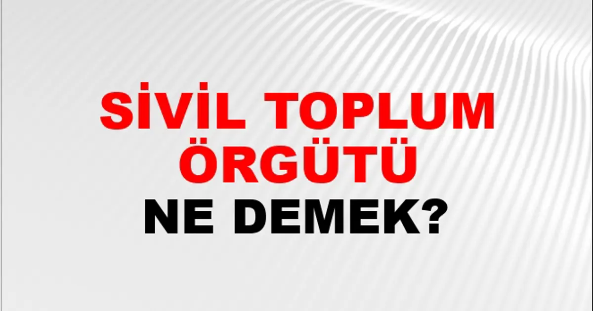 Sivil Toplum Örgütü Ne Demek? Sivil Toplum Örgütü Kelimesinin TDK ...
