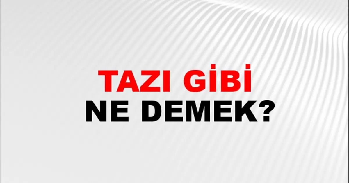 Tazı Gibi Ne Demek? Tazı Gibi Kelimesinin TDK Sözlük Anlamı Nedir ...