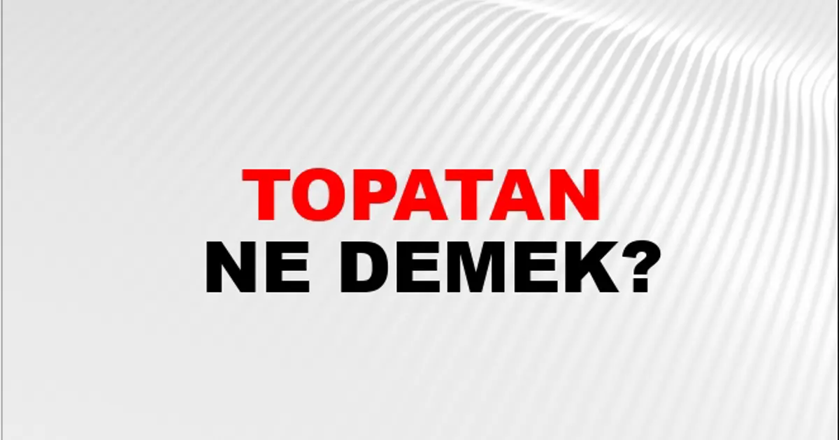 Topatan Ne Demek? Topatan Kelimesinin TDK Sözlük Anlamı Nedir? | NTV Haber