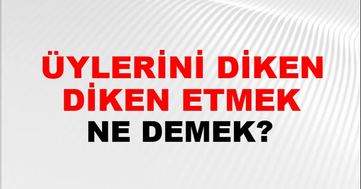 Tüylerini Diken Diken Etmek Ne Demek? Tüylerini Diken Diken Etmek ...