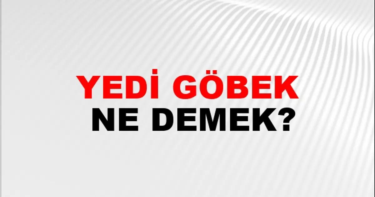Yedi Göbek Nasıl Yazılır? | NTV Haber