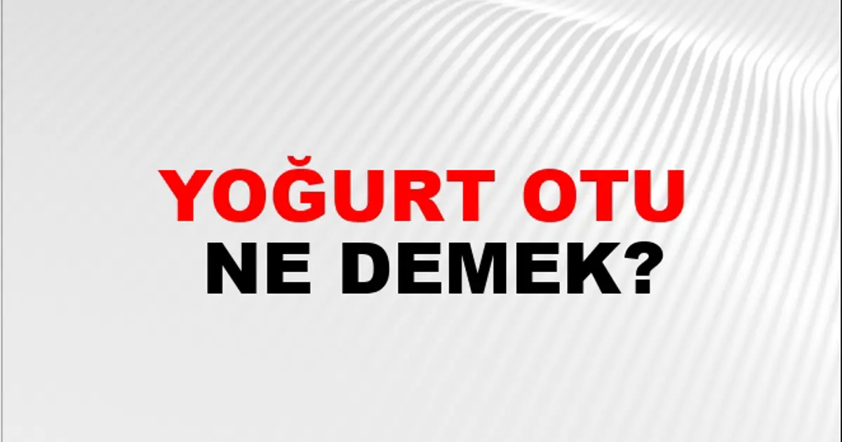 Yoğurt Otu Nasıl Yazılır? | NTV Haber
