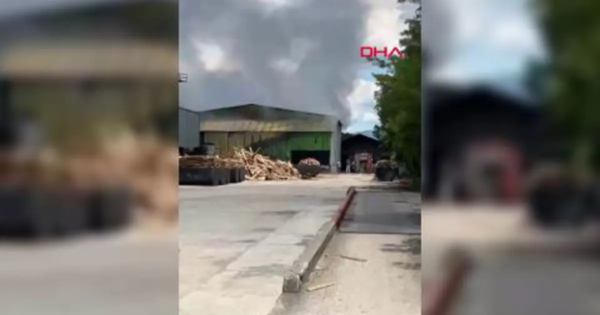 Sakarya'da palet fabrikasında yangın | NTV Haber