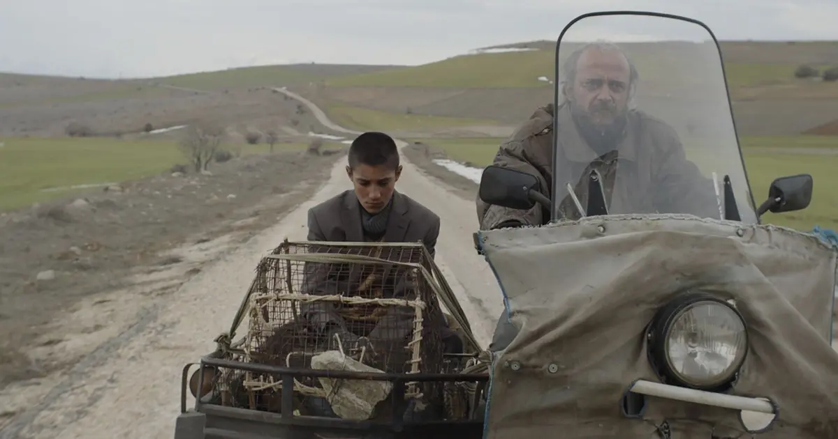 36. Ankara Film Festivali'nde ödüller sahiplerini buldu | NTV Haber